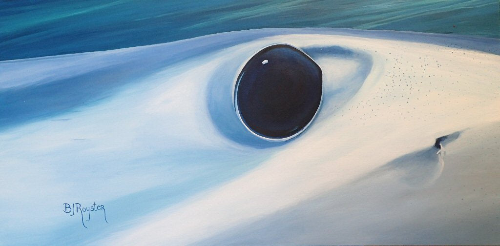 Mako - Original ~~~ Happy Birthday Keith – BJ Royster