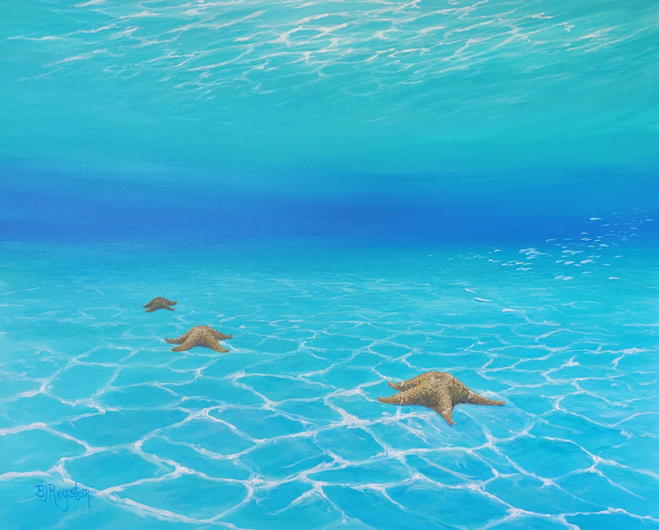Colorful Ocean Floor